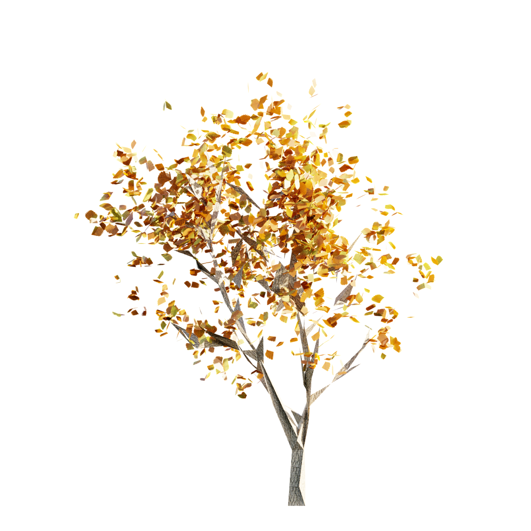 Tree LOD 3 Autumn | FREE Trees models | BlenderKit