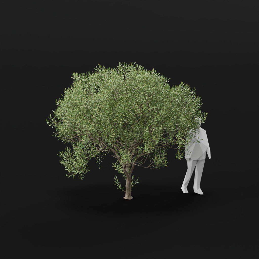 Olive Tree Med | Trees models | BlenderKit