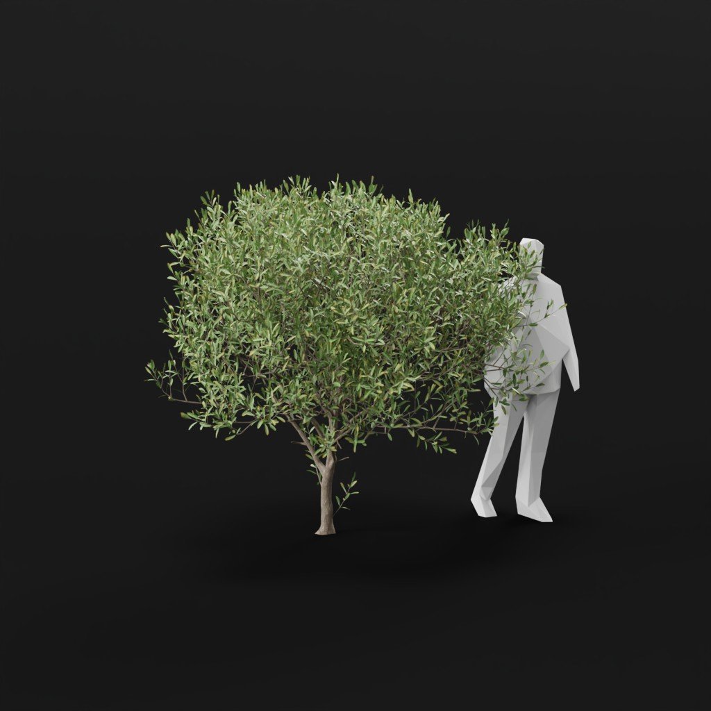 Olive Tree Young | Trees models | BlenderKit