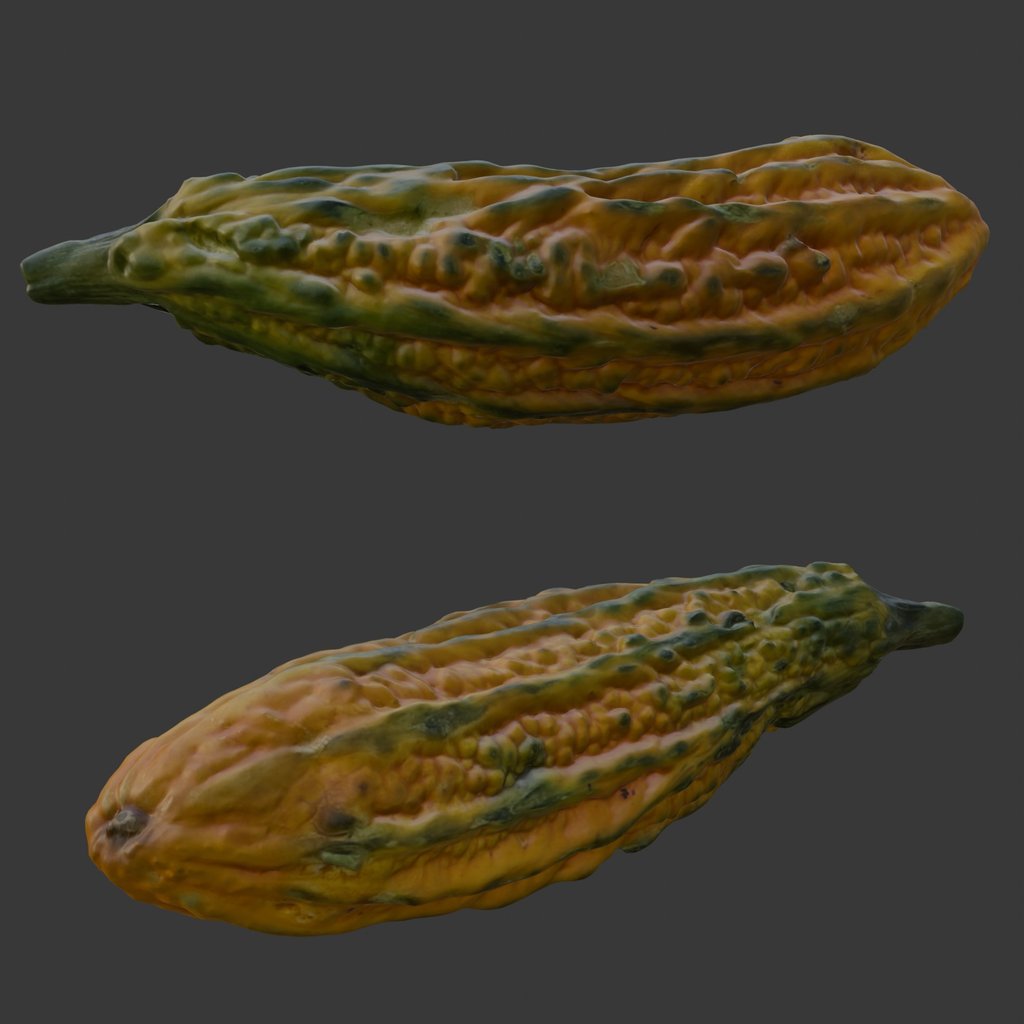 Karela scanned | FREE Fruit & Vegetables models | BlenderKit
