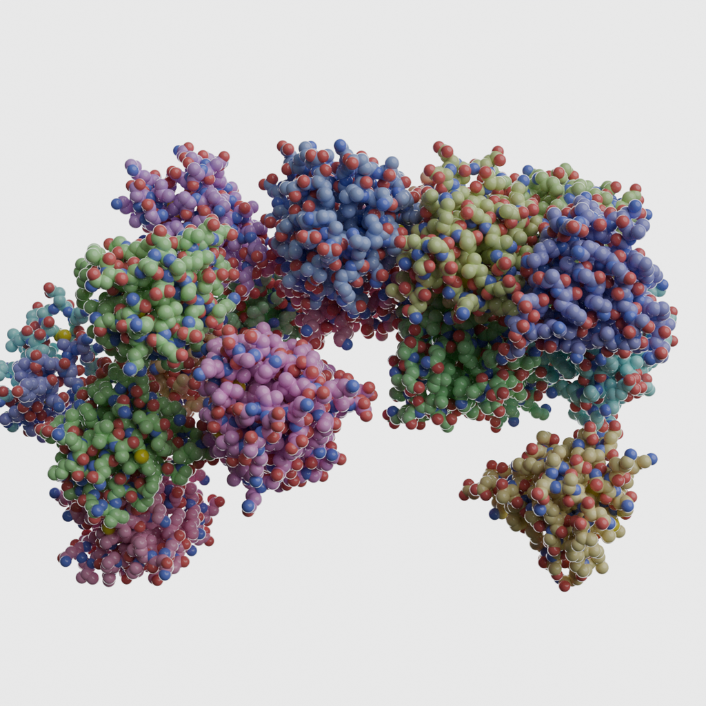 Cytochrome C | Microbiology models | BlenderKit