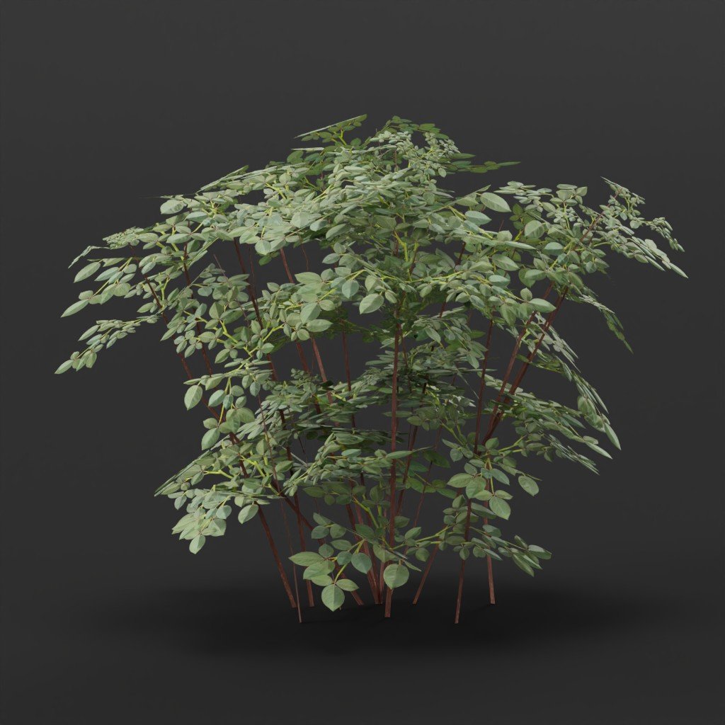 Flower Rose Medium NoRoses | 3D Outdoor models | BlenderKit