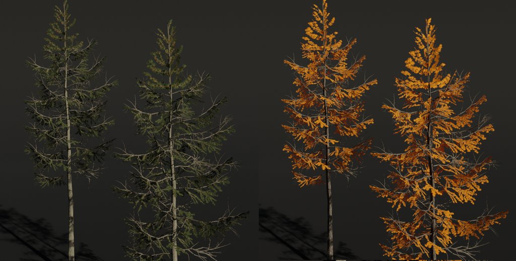 Tree European Larch c1 | Trees models | BlenderKit