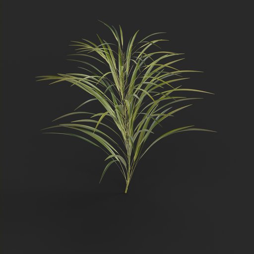 Random Plant | FREE Outdoor Plants models | BlenderKit