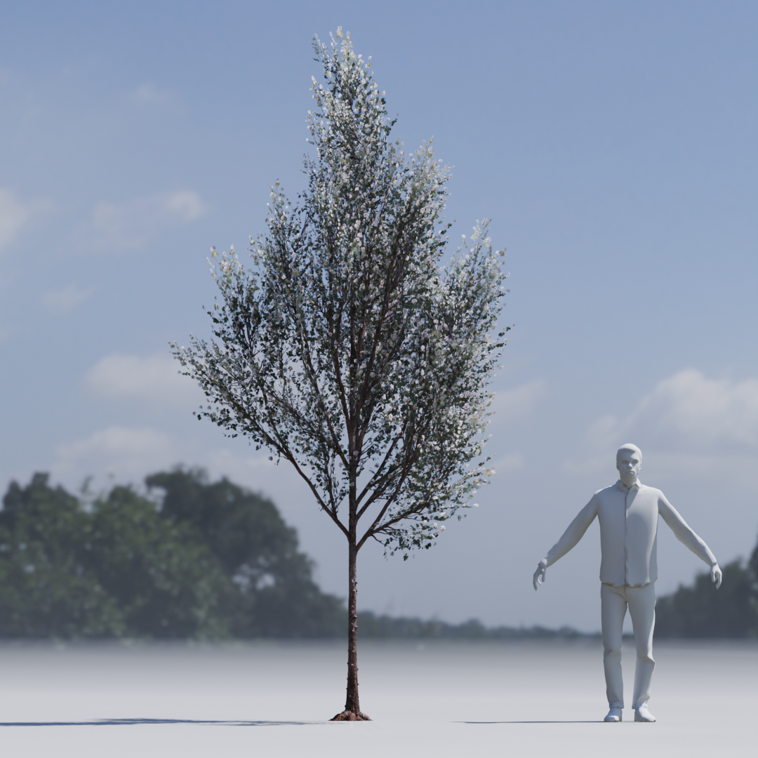 Flowered Tree Low Poly Animated | Trees models | BlenderKit