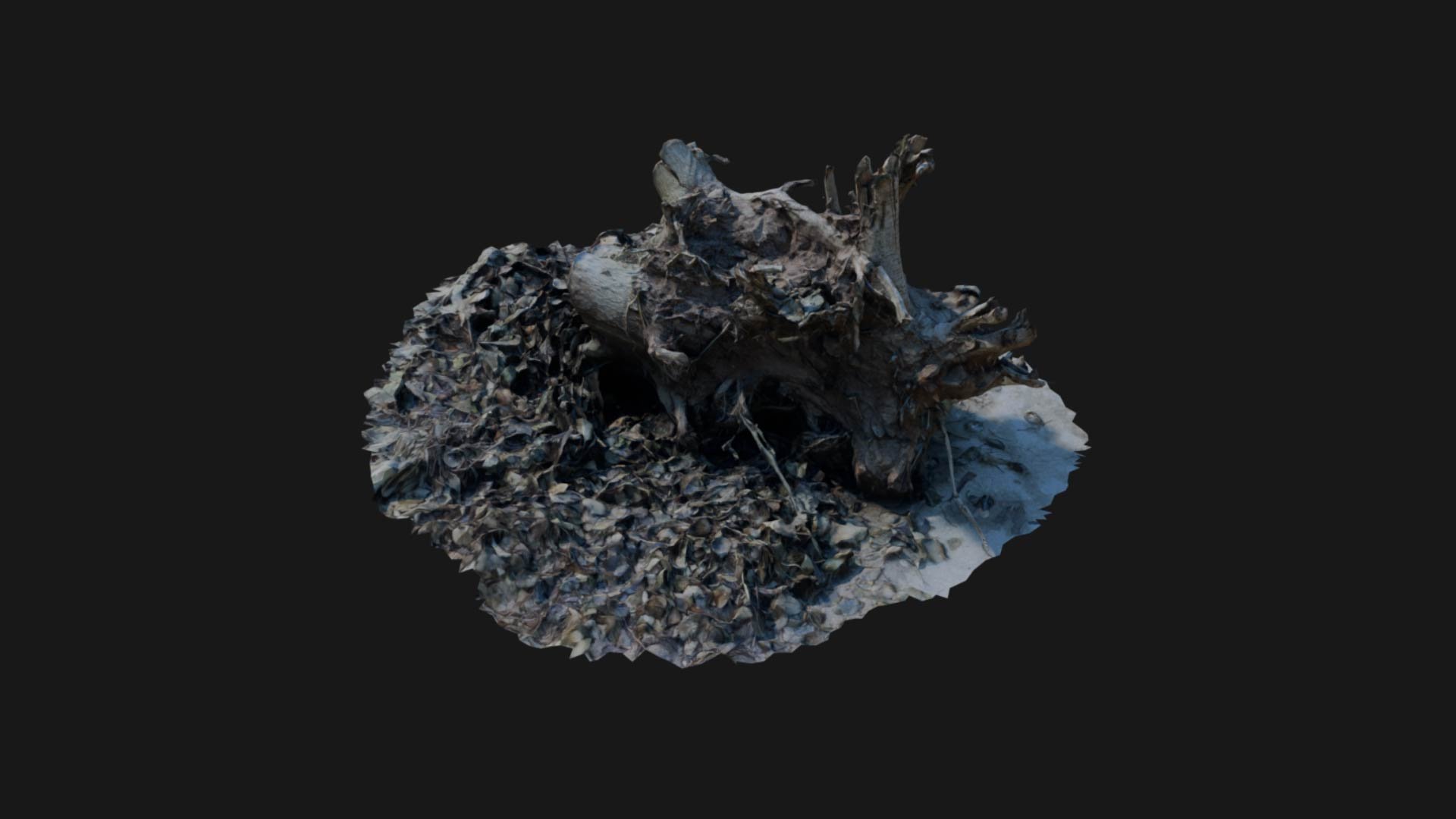 Tree bare roots | Trees models | BlenderKit