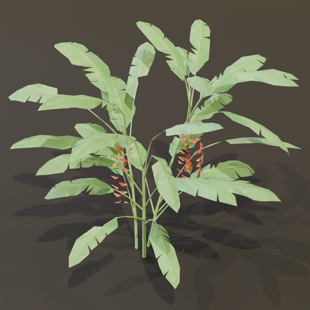 BlenderKit | Download the Heliconia Lobster Claw Plant Large model
