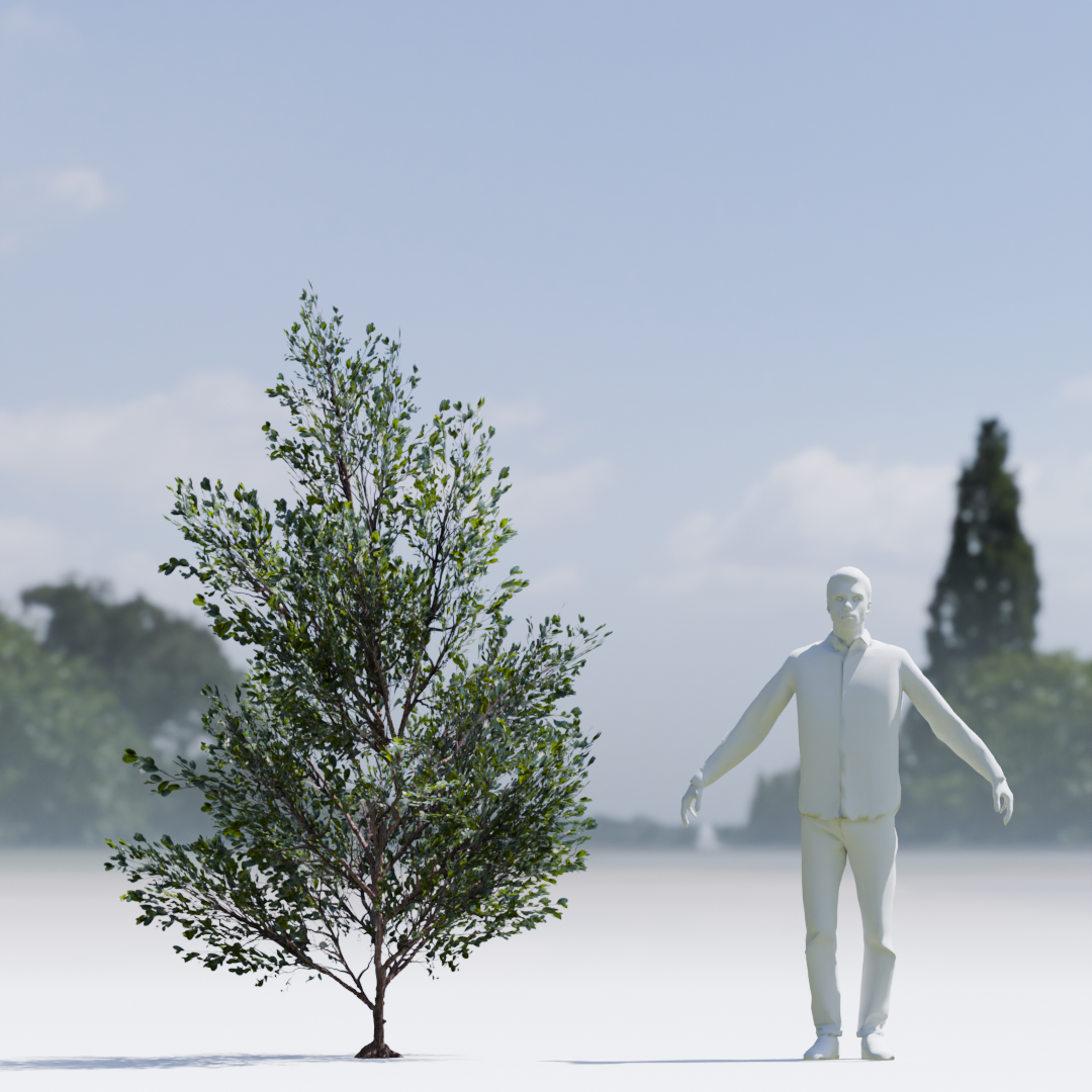Bush lowpoly animated | Trees models | BlenderKit