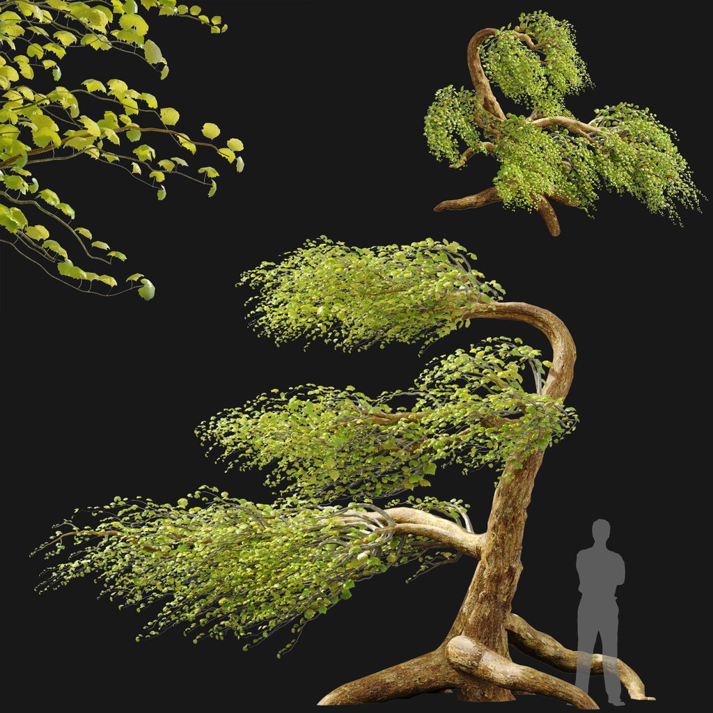 Stylized Windswept Tree | Trees models | Blendkit