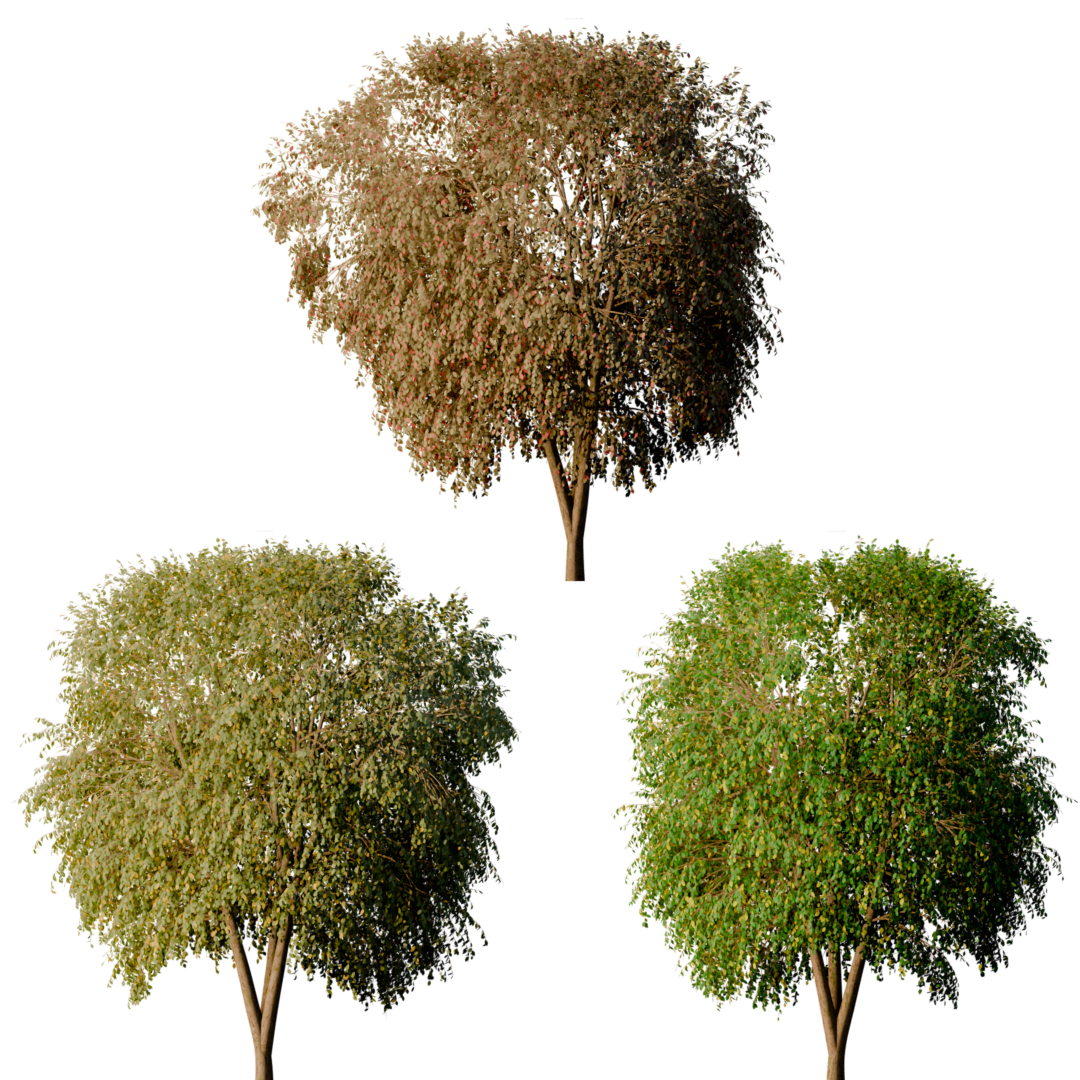 Fake trees | FREE Trees models | BlenderKit