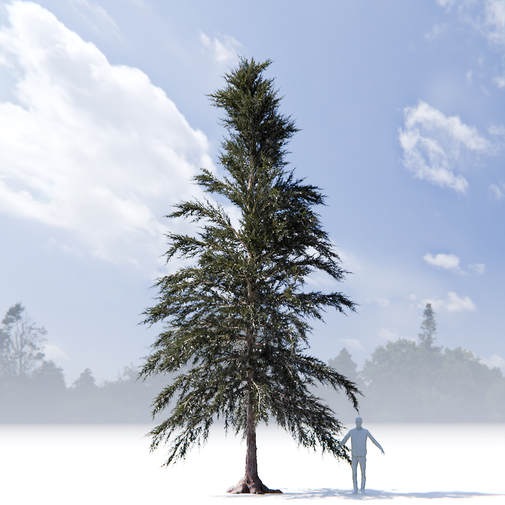 Pine tree variation | Trees models | BlenderKit