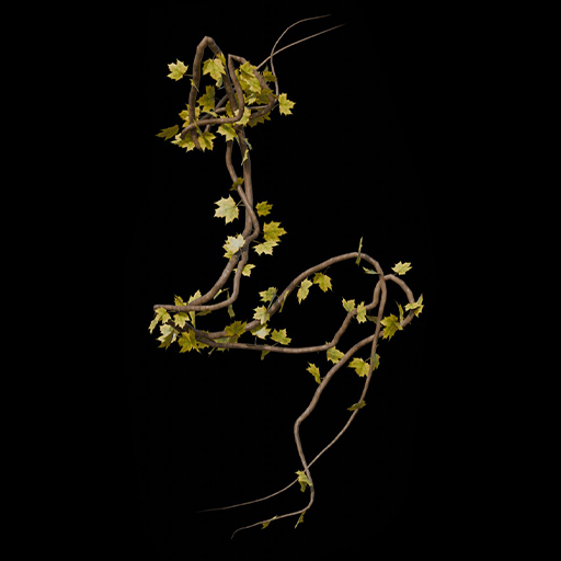Climbing Vine - Leaf 04 | FREE Modifiers models | BlenderKit