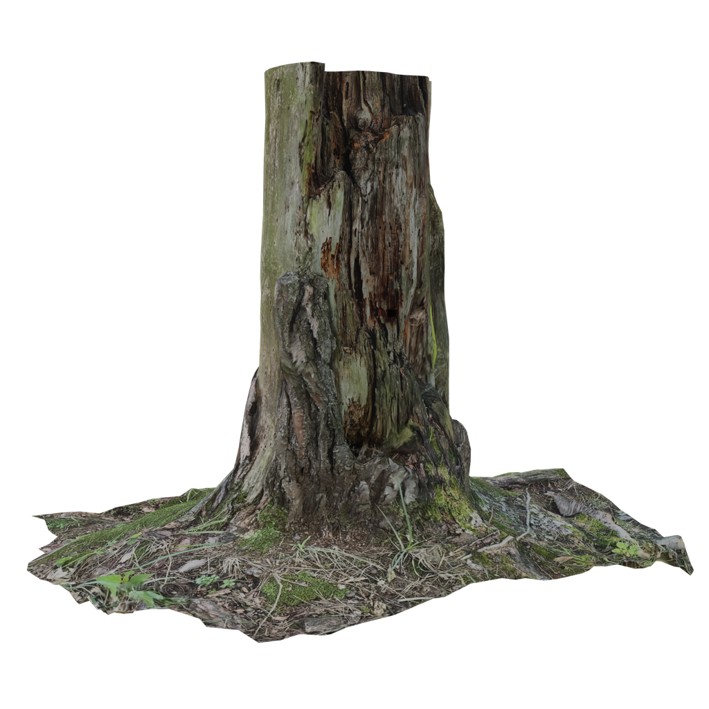 Dead Tree Stump | FREE Trees models | BlenderKit