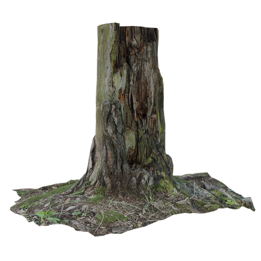 Dead Tree Stump | FREE Trees models | BlenderKit