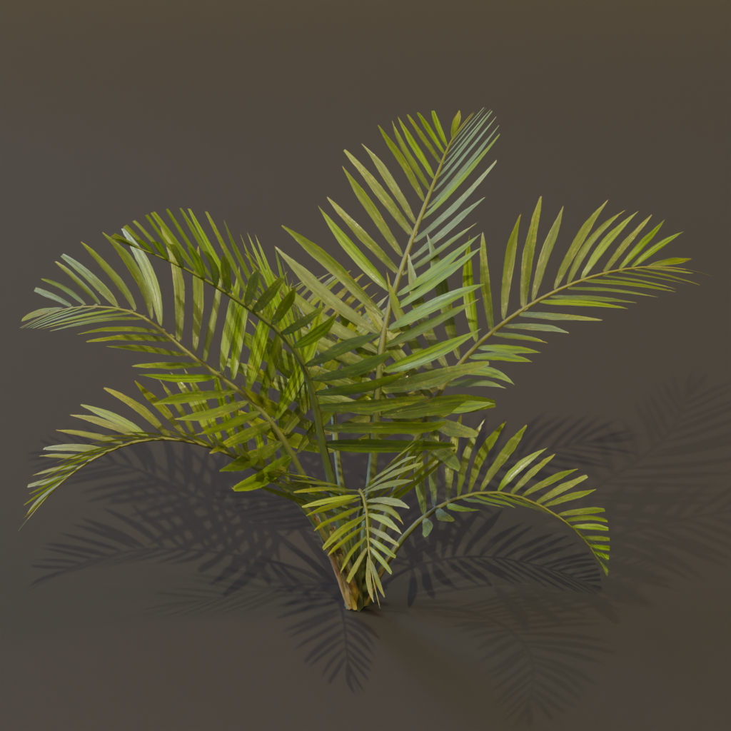 Alexandra Palm Plant Large | Outdoor Plants models | BlenderKit