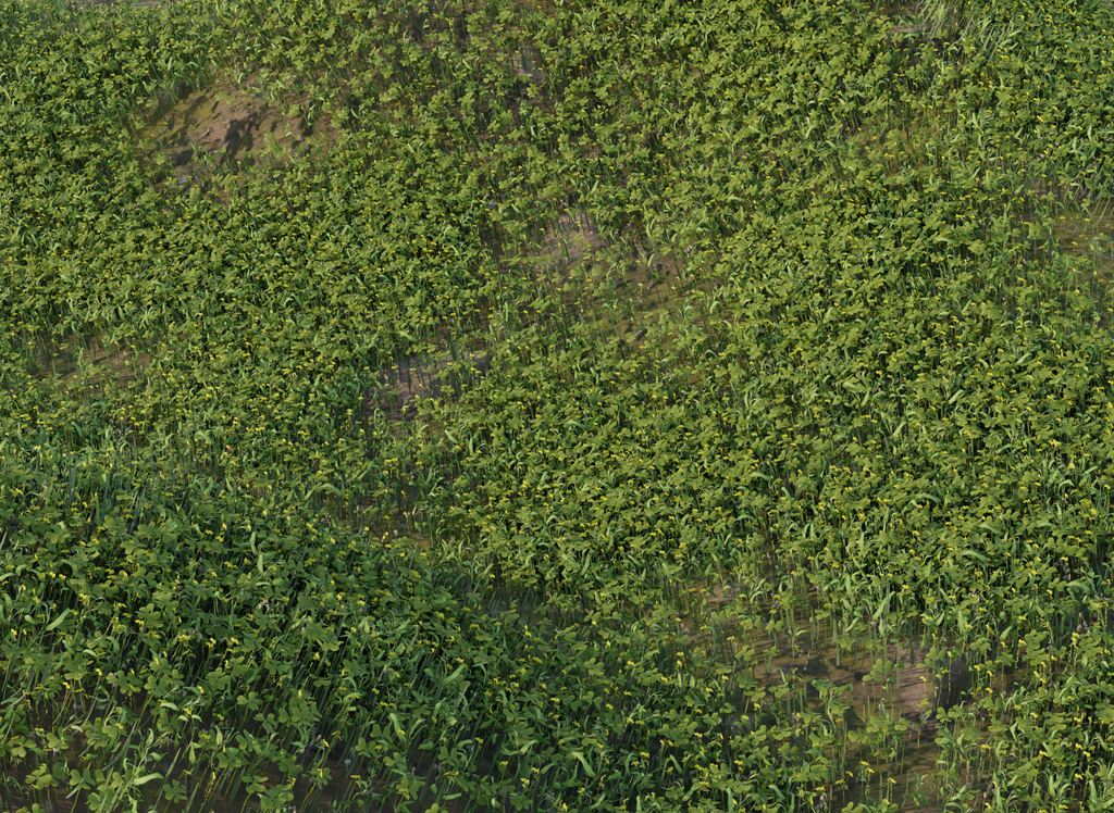 Grass | Grass models | BlenderKit