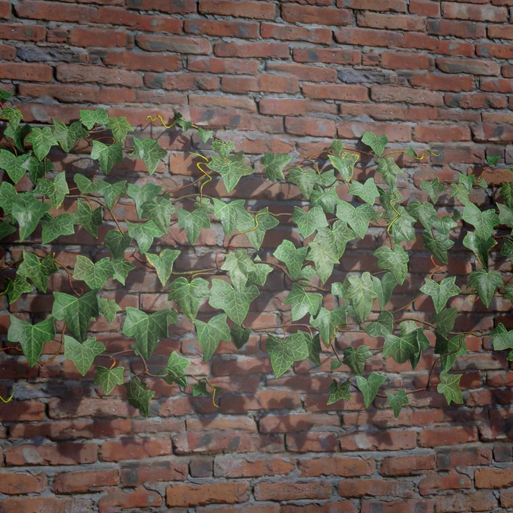 Ivy Creeper Patch 4M 01 | Outdoor Plants models | BlenderKit