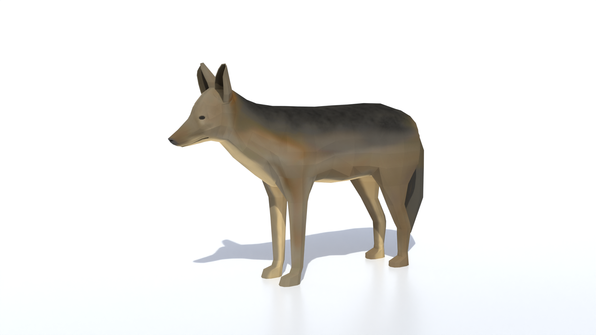 Low Poly Jackal | Mammals models | BlenderKit