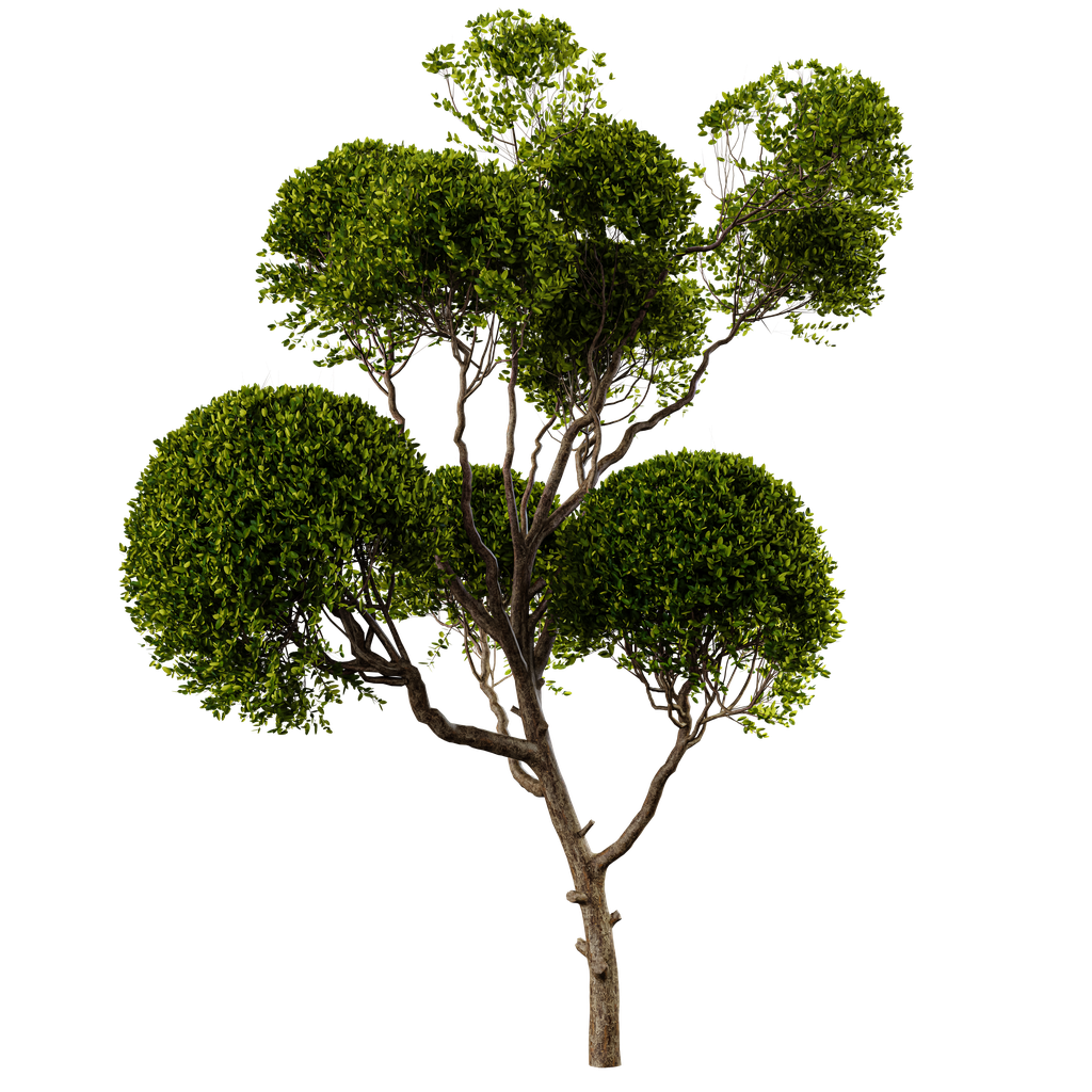 Tree10 | Trees models | BlenderKit