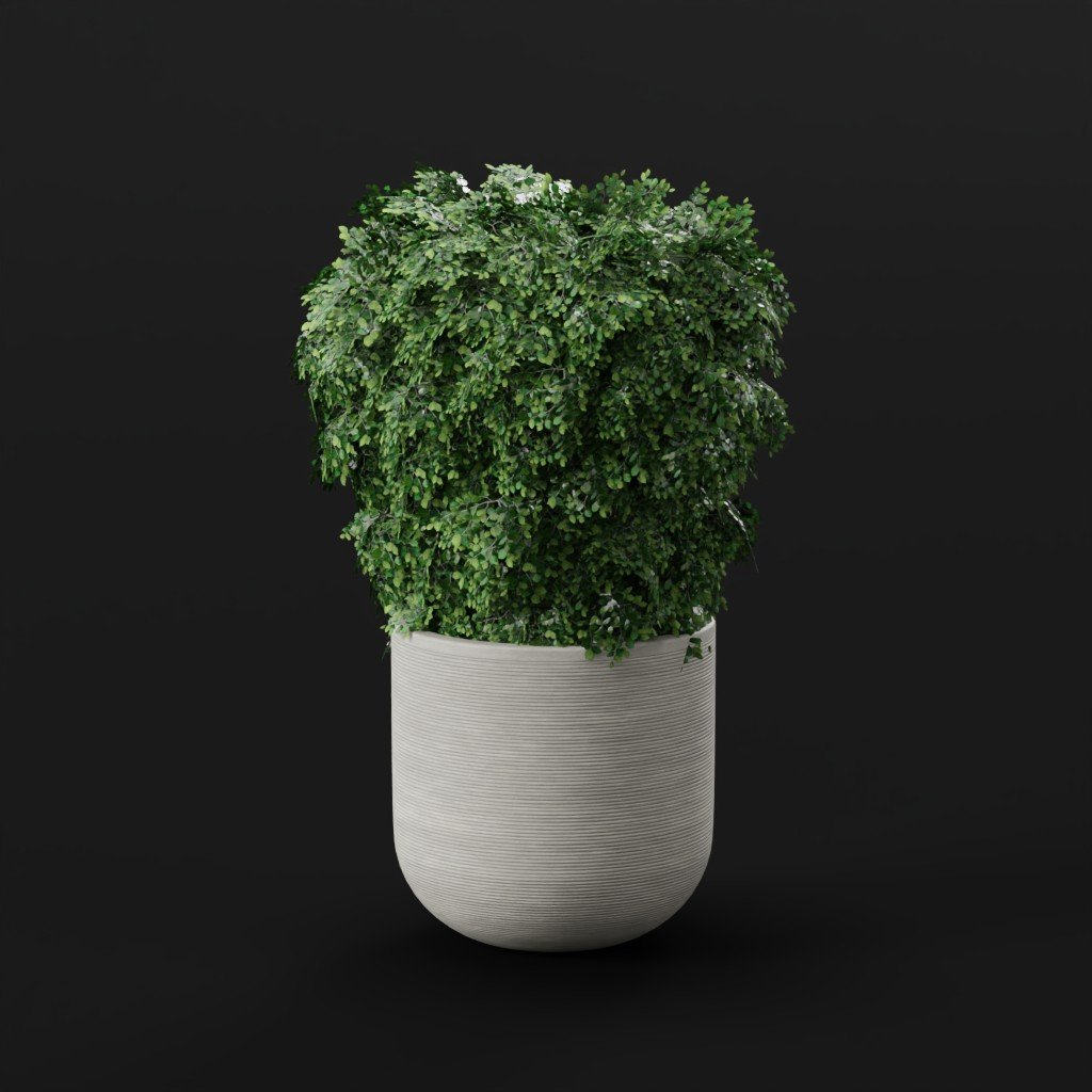 Ficus Bush Pot | Outdoor Plants models | BlenderKit
