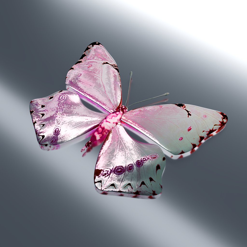 Butterfly (Rigged) | FREE Insects models | BlenderKit