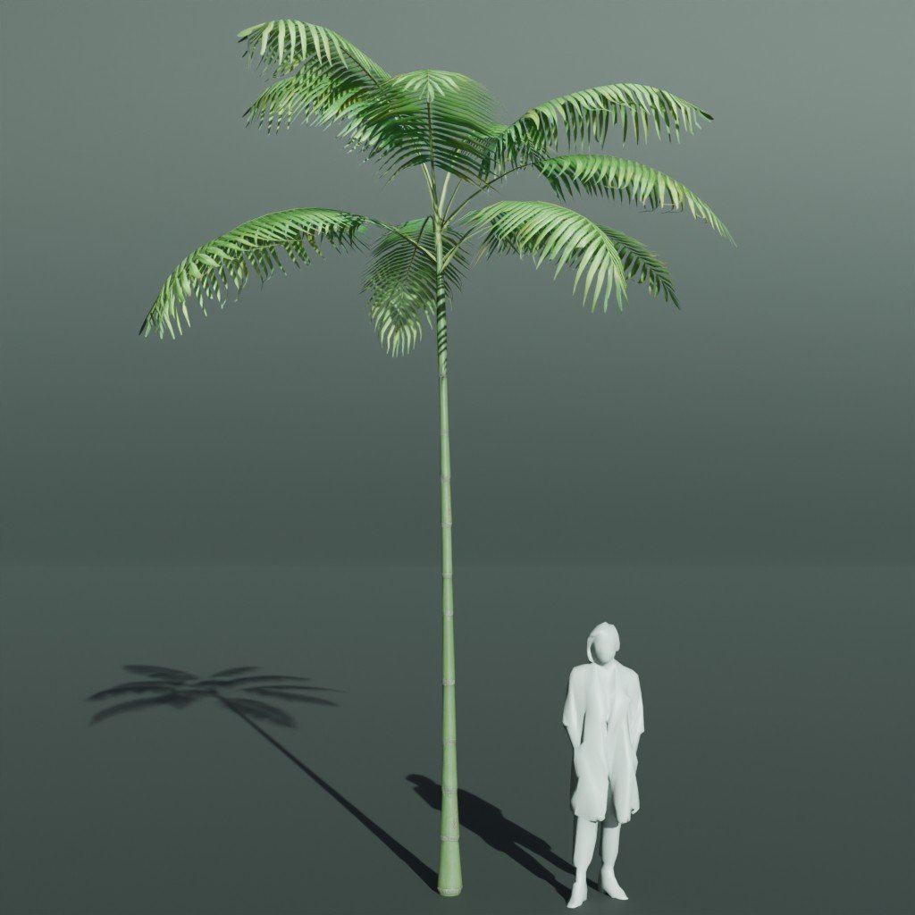 Tropical Palm Tree Medium | Trees models | BlenderKit