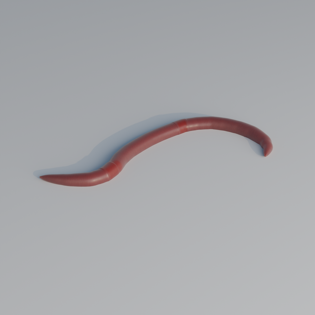 Ground Worm | Insects models | BlenderKit