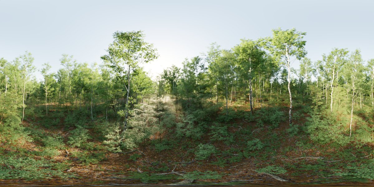 Forrest Day | Nature HDRis | BlenderKit