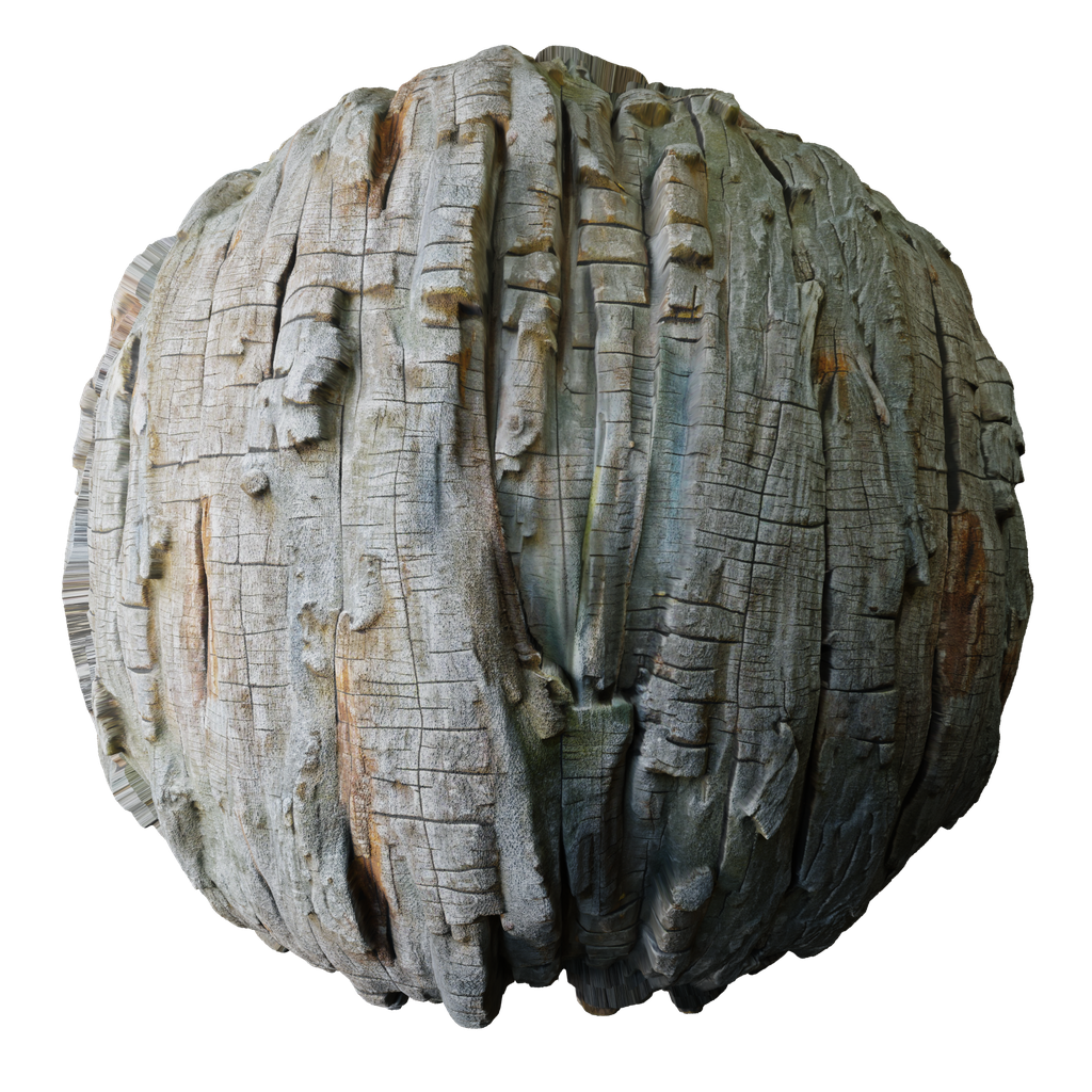 BlenderKit | Download the FREE Tree Trunk material