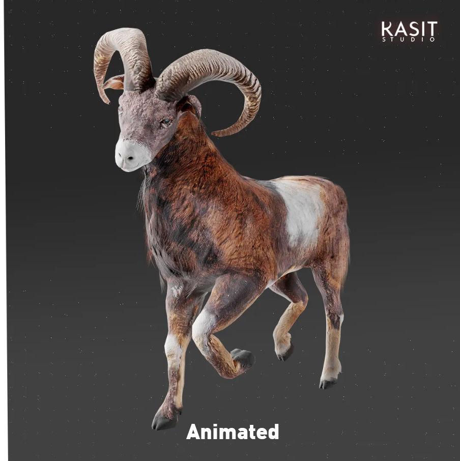 Ovis | Mammals models | BlenderKit