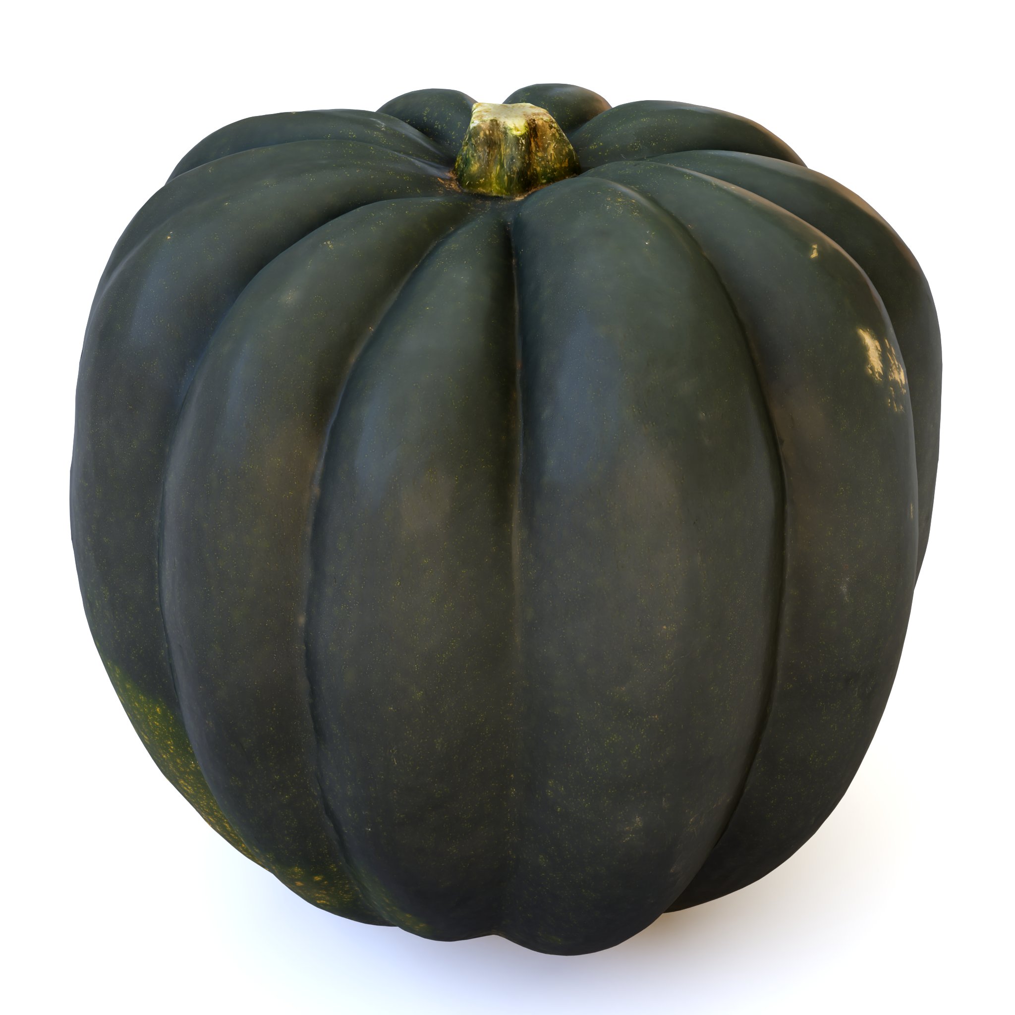 Acorn squash, pepper gourd, acorn gourd | Fruit & Vegetables models ...