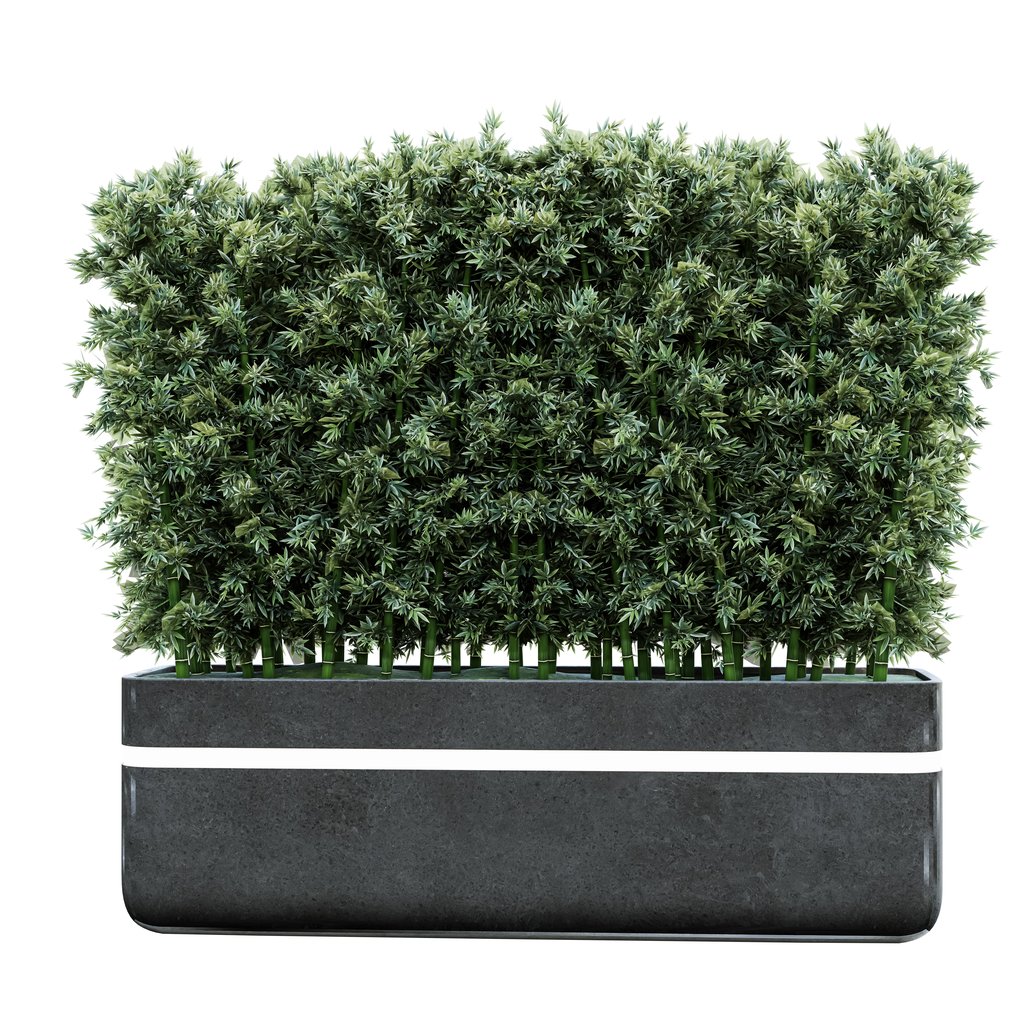 Rectangular Planter Hedge | Outdoor Plants models | BlenderKit