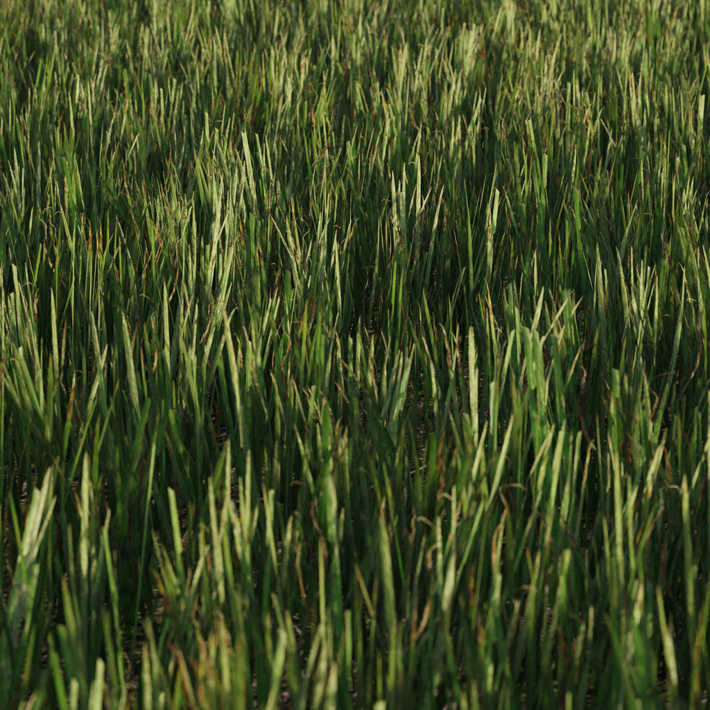 Grass | FREE Grass models | BlenderKit