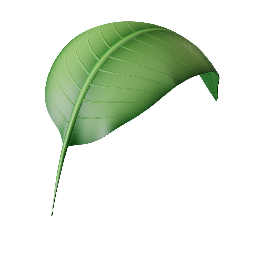 Leaf | FREE grass materials | BlenderKit