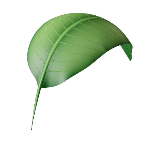 BlenderKit | Download the FREE Leaf material