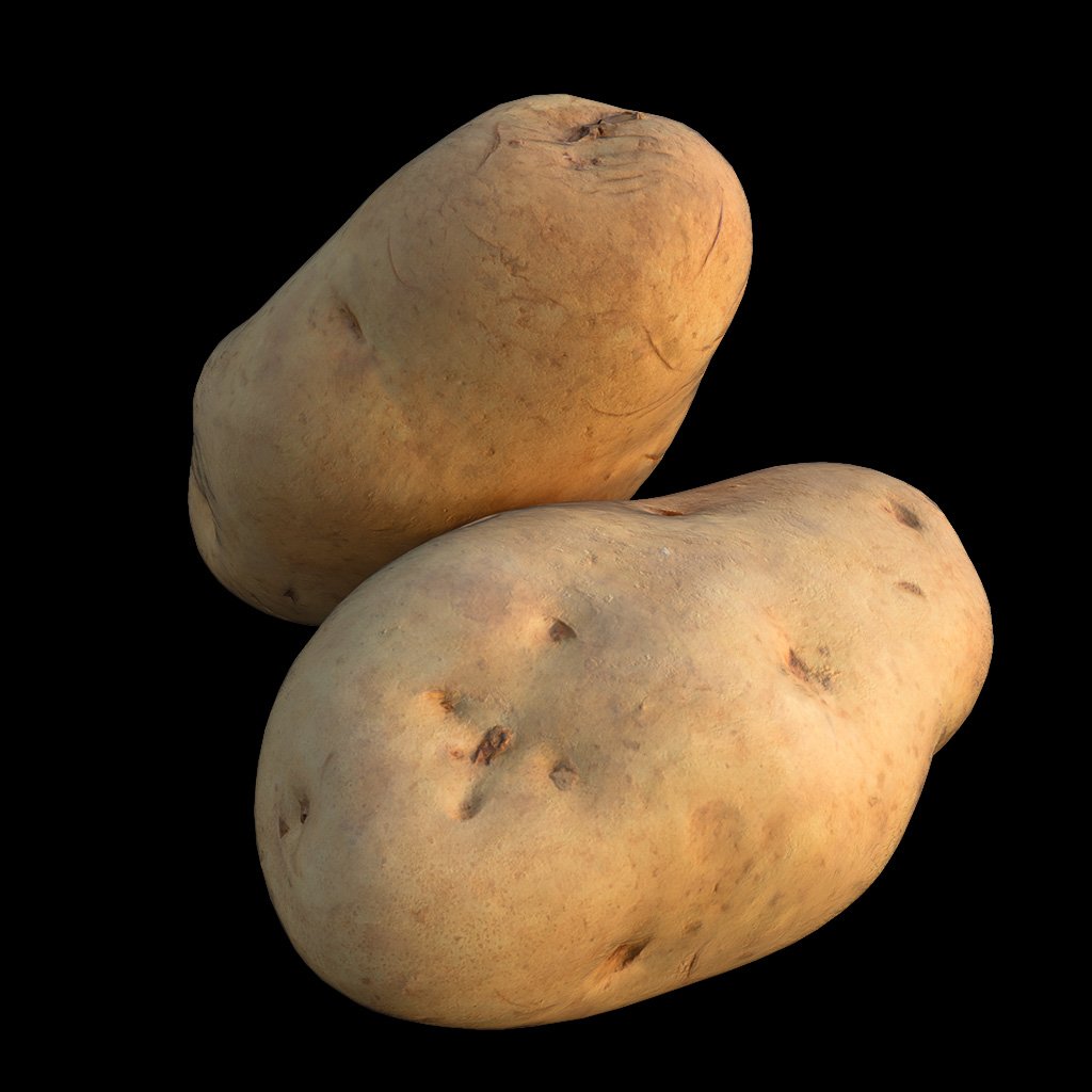 Scanning. Potatoes. | Fruit & Vegetables models | BlenderKit