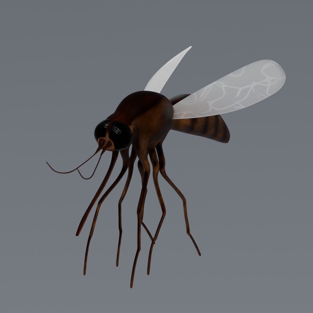 Mosquito | Insects models | BlenderKit