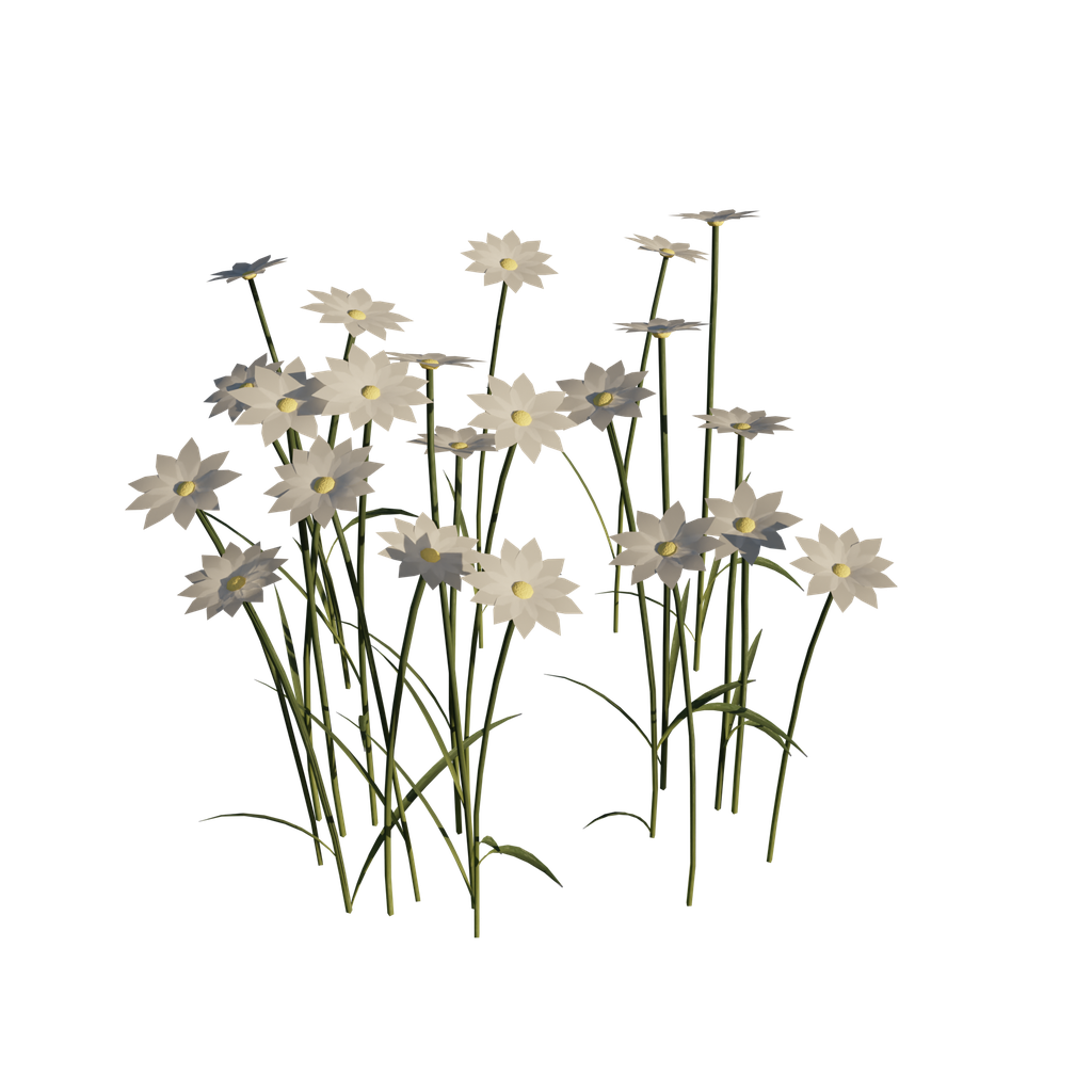 BlenderKit | Download the FREE Wild White Flower Patch model
