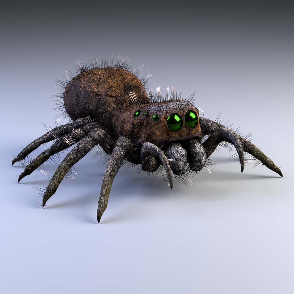 Jumping spider | Insects models | BlenderKit