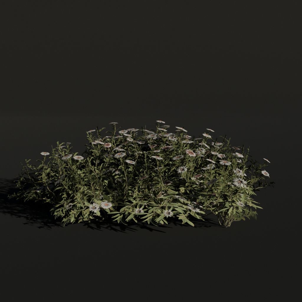 Flowers Aster a3 | Trees models | BlenderKit