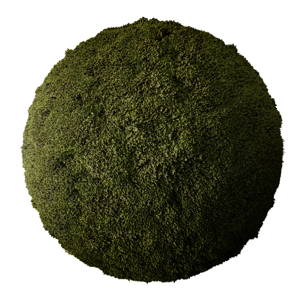 Thick Moss Scan PBR | FREE ground materials | BlenderKit