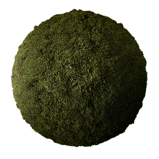 Thick Moss Scan PBR | FREE ground materials | BlenderKit