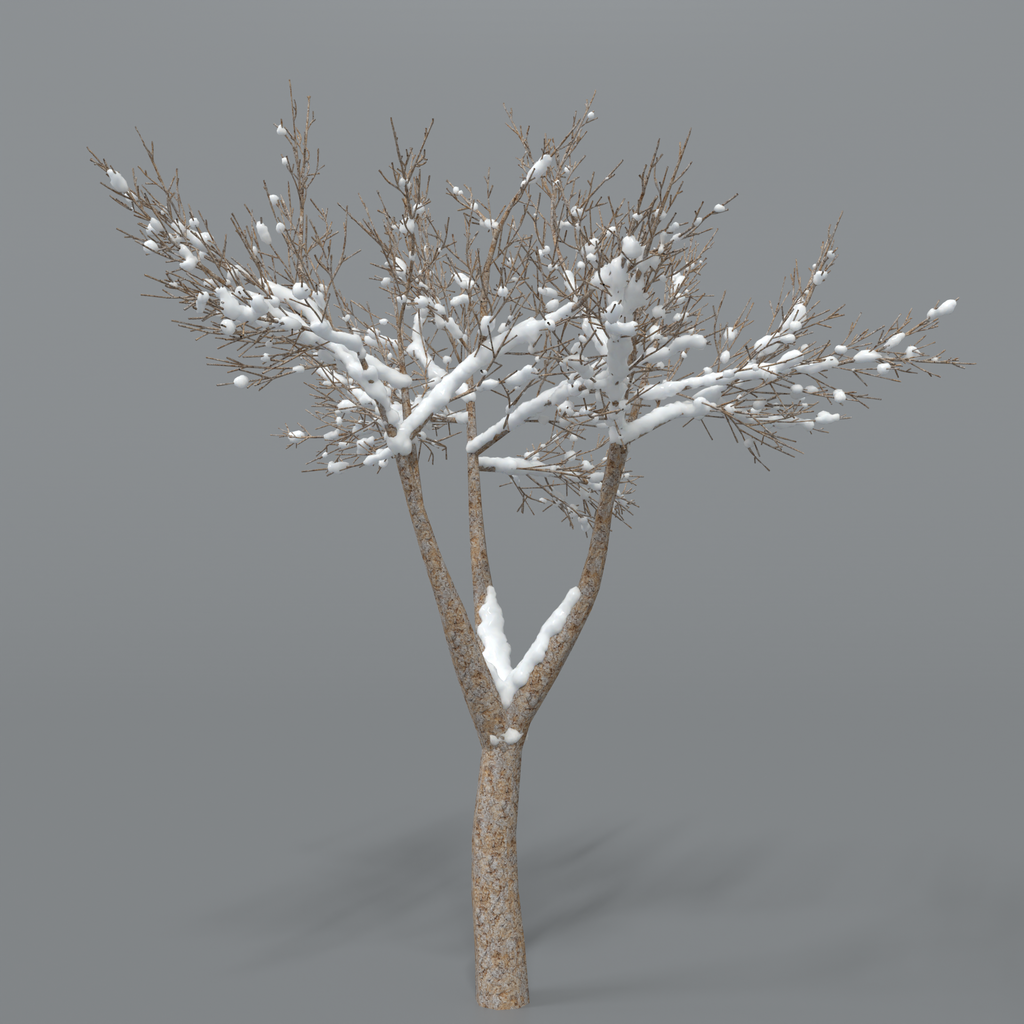 Tree With Snow | Trees models | BlenderKit