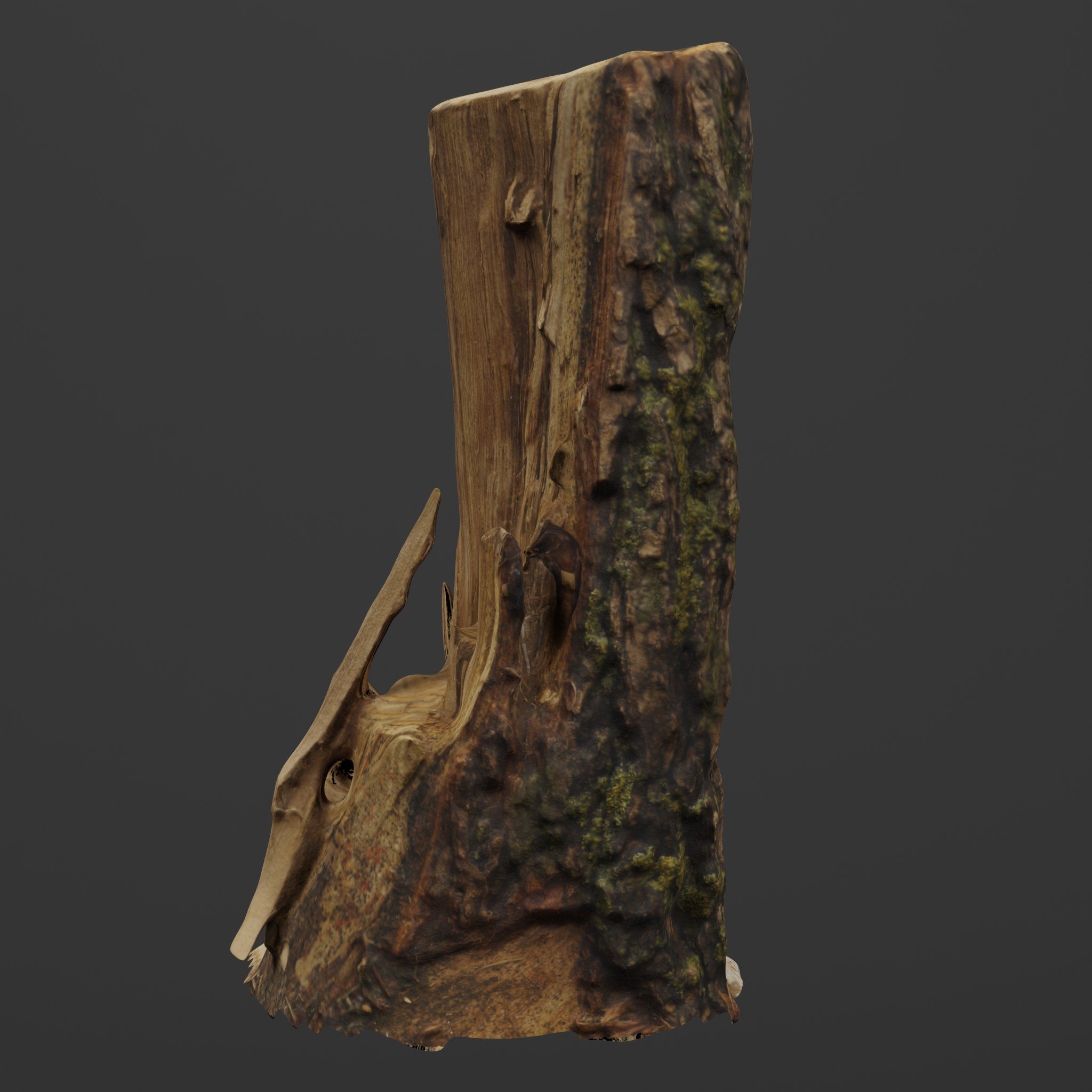 Jacked Up Log 01 | FREE 3D Tree models | BlenderKit