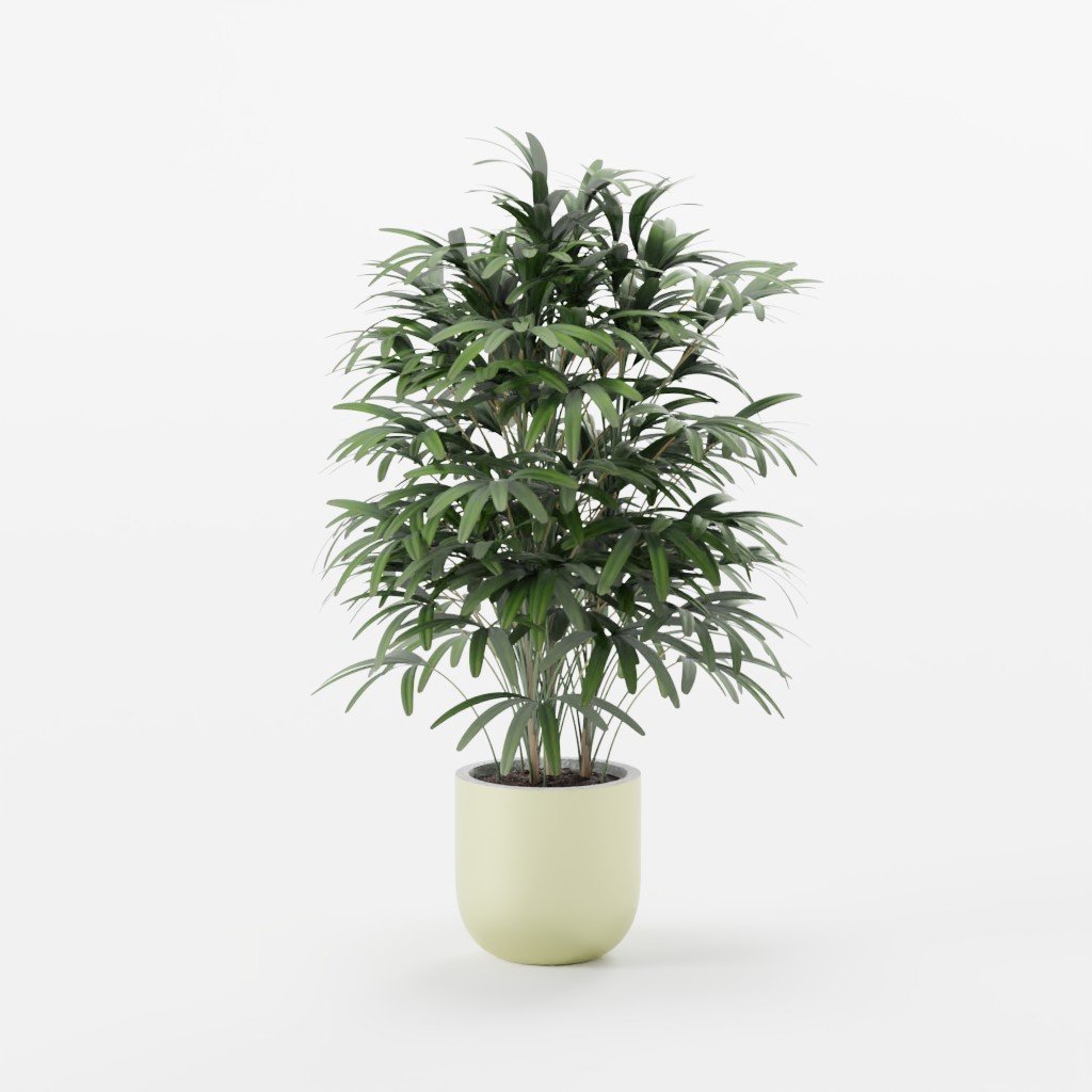 Indoor plant | Indoor Plants models | BlenderKit