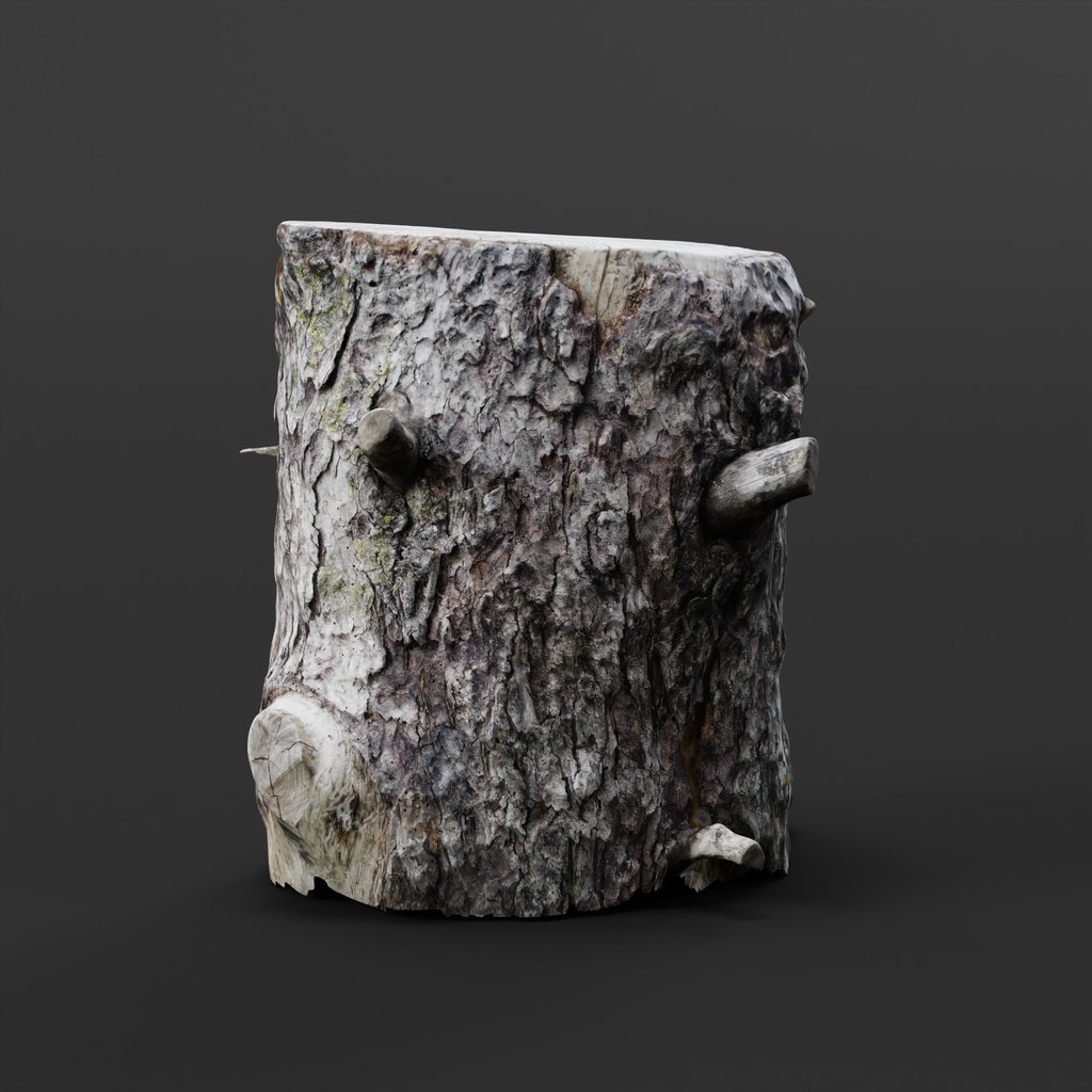 Photoscanned Pine Tree Log 02 | FREE Trees models | BlenderKit
