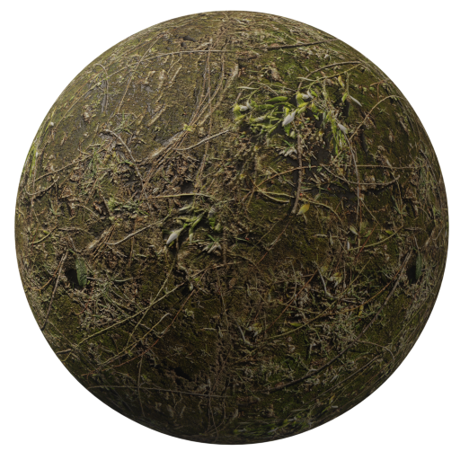 Moss ground | FREE ground materials | BlenderKit