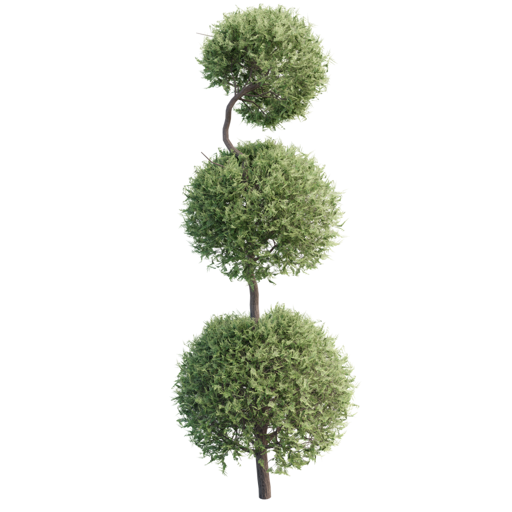 Tree | Trees models | BlenderKit