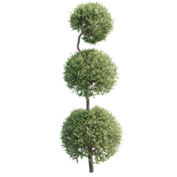 Tree | Trees models | BlenderKit
