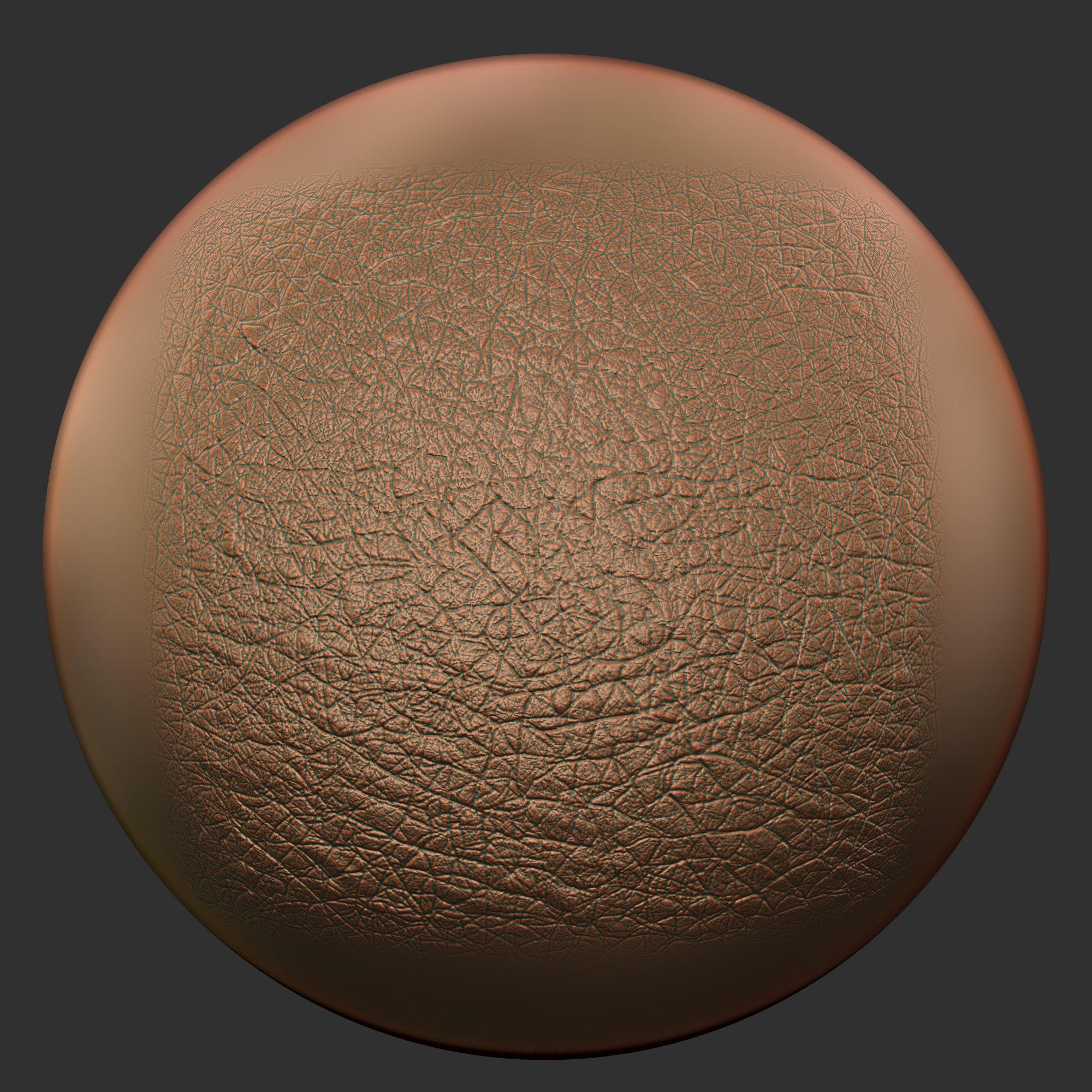 ER Human Skin(L) 58 | Human Skin brushes | BlenderKit
